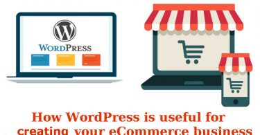 How To Optimize Your Website Using Effective SEO Strategy